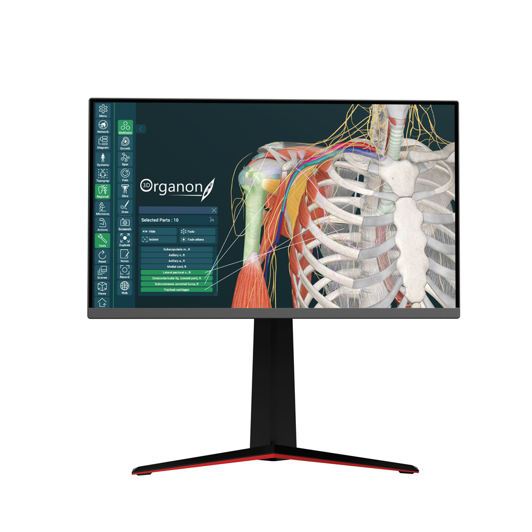 3D Organon: Plataforma inmersiva de anatomía y educación médica en ...